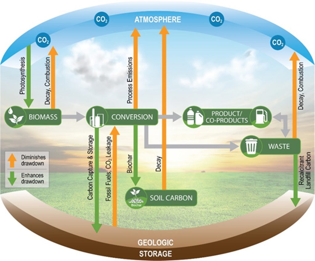 Biomass Carbon Removal & Storage (BiCRS) Solutions | Lot21
